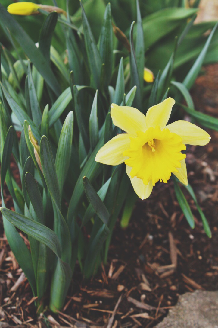Growing Stronger – In All Seasons
